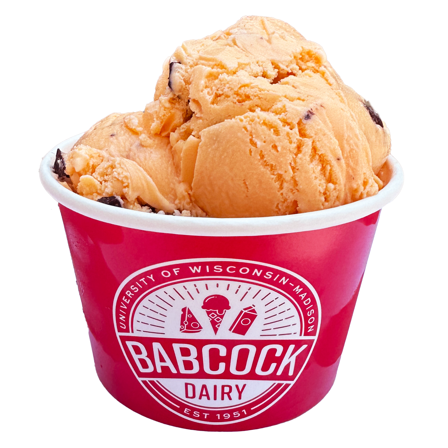 Ice Cream – Babcock Dairy Plant – UW–Madison